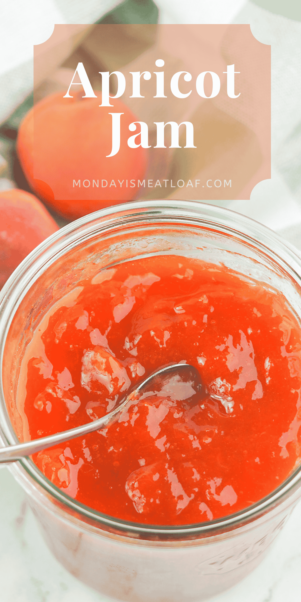 Apricot Jam - Monday Is Meatloaf